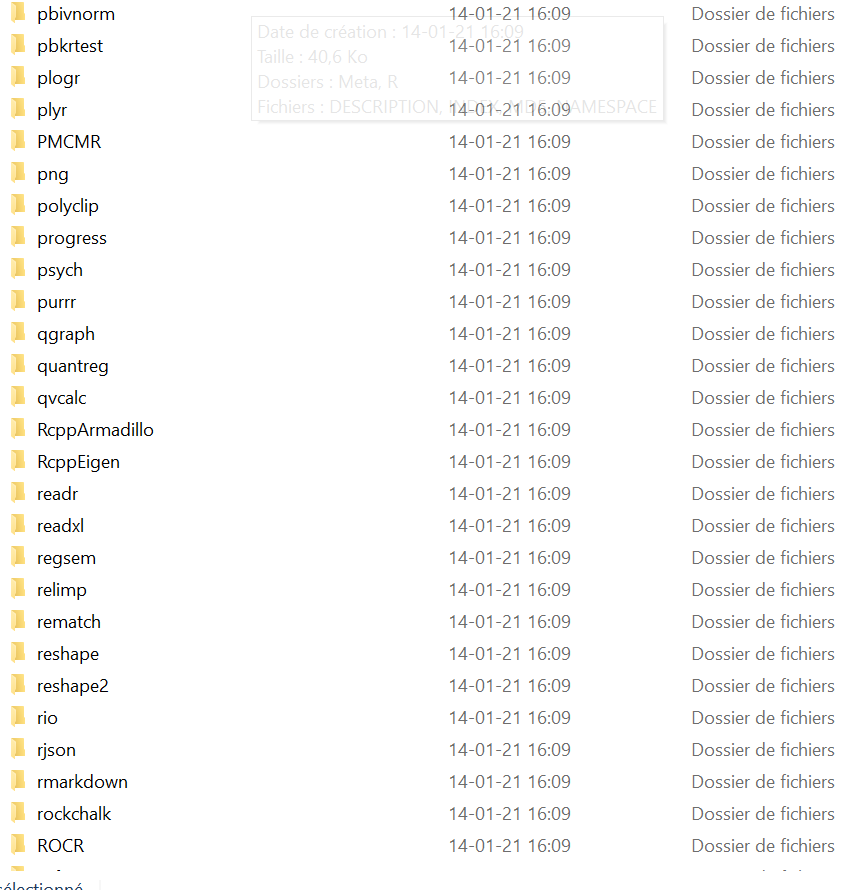 Descriptives Issue · Issue 978 · Jamovijamovi · Github 