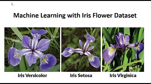 GitHub - Kritsakornn/Iris-Flower: จําแนกพันธุ์ดอกไม้ (Iris Flower) แบบ Basic
