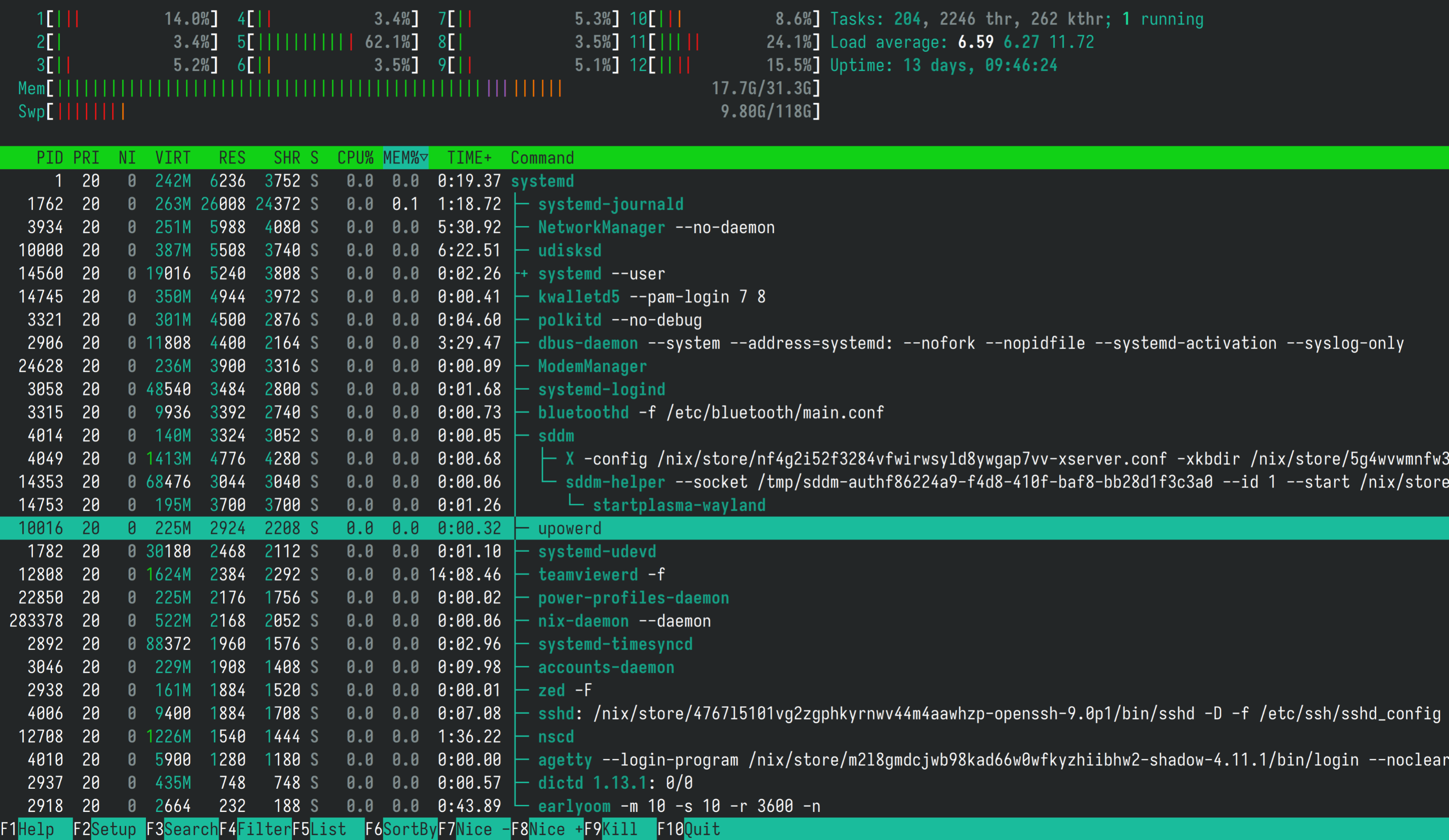 Store path shortening for Nix and Guix · Issue #519 · htop-dev/htop · GitHub