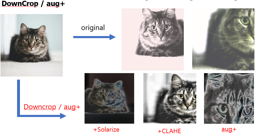 GitHub - soonwonh/Modified-Moco