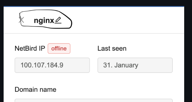 Domain Name Increment · Issue #772 · netbirdio/netbird · GitHub