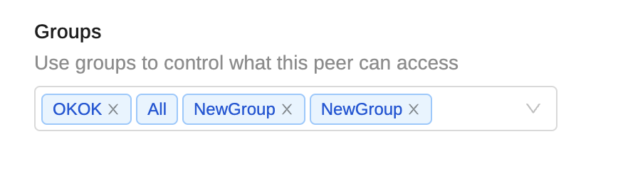 Remove group duplication on select view · Issue #234 · netbirdio/dashboard · GitHub