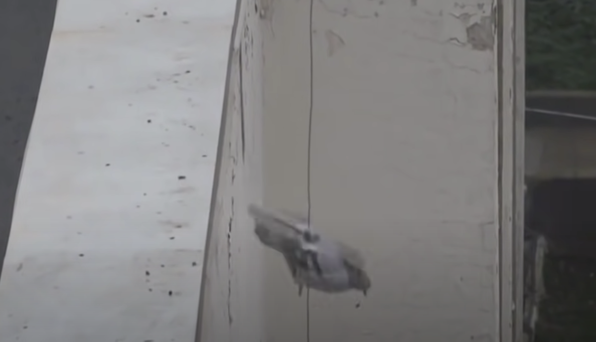 스케줄링을 통한 데이터 삭제 기능 · Issue #742 · woowacourse-teams/2023-hang-log · GitHub