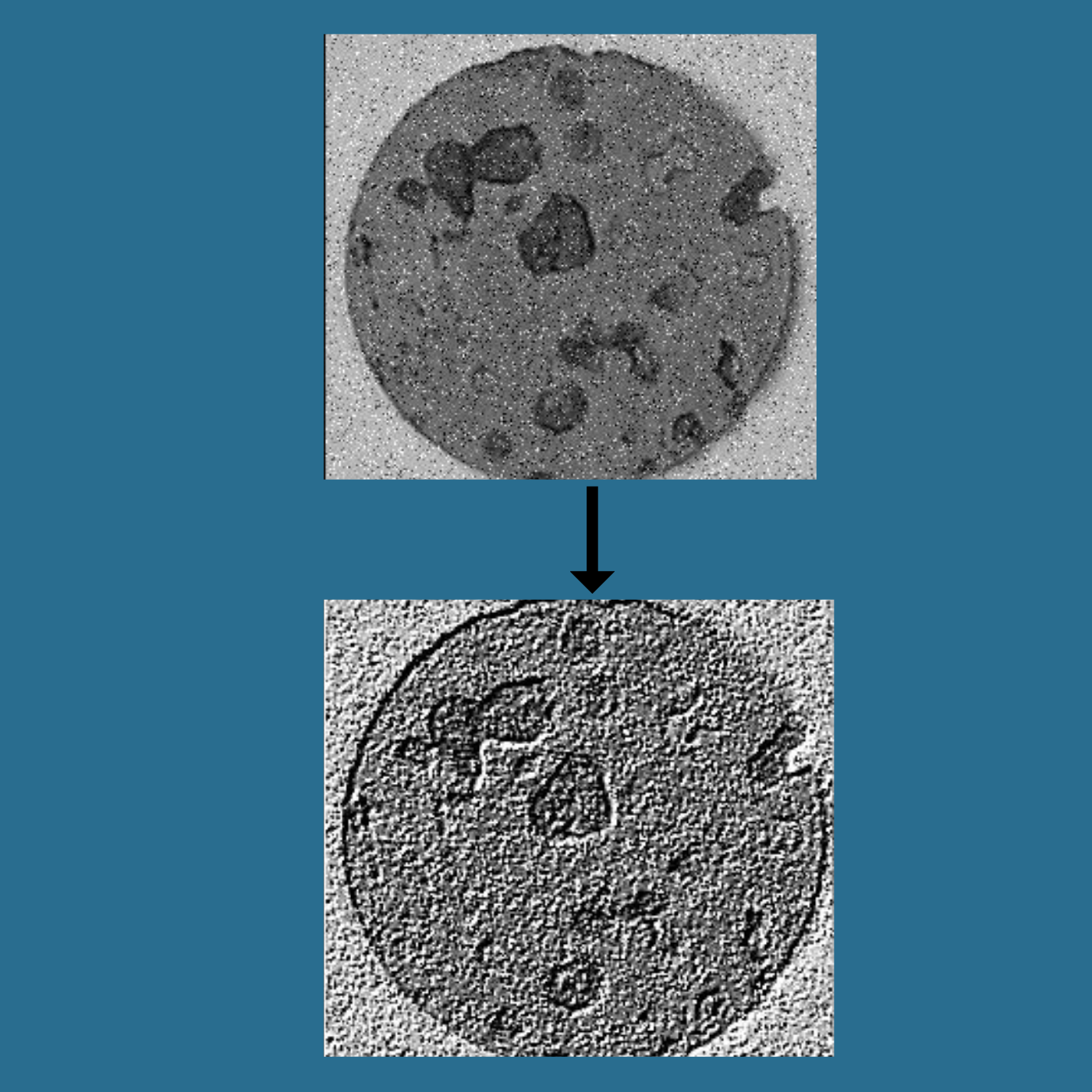 GitHub - haruncanatali/Paralel-Konvolusyon-Uygulamasi: Bu projede MPI kütüphanesi kullanılarak ...