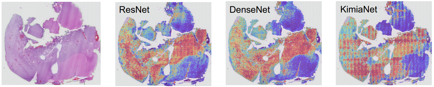 GitHub - soham-chitnis10/WSI-domain-specific