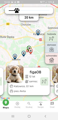 GitHub - bartekwk2/Petinder: Aplikacja adopcyjna