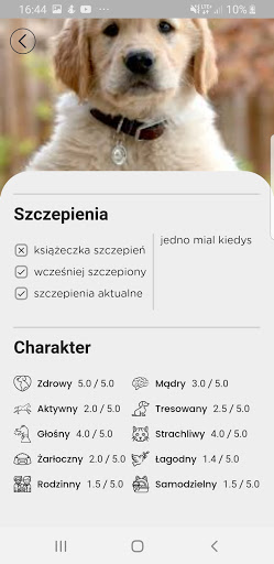 GitHub - bartekwk2/Petinder: Aplikacja adopcyjna