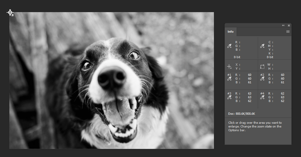 GitHub - BrandonIW/LSB_Steganography: Python Program allowing the user ...