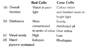 Github Park Yuwon Basic Ai Learning Records Of Basic Python Data