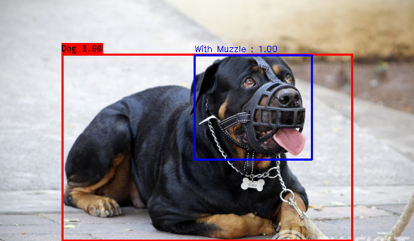 GitHub - beomhui/Dog-muzzle-detection-system