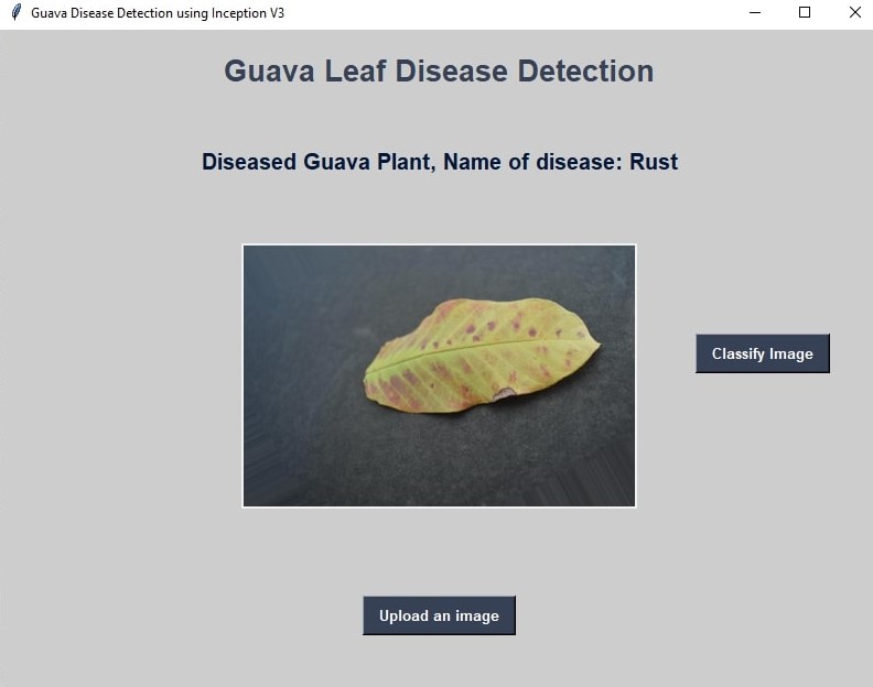 GitHub - omkarpyc/Image-Based-Plant-Disease-Detection: This is the ...