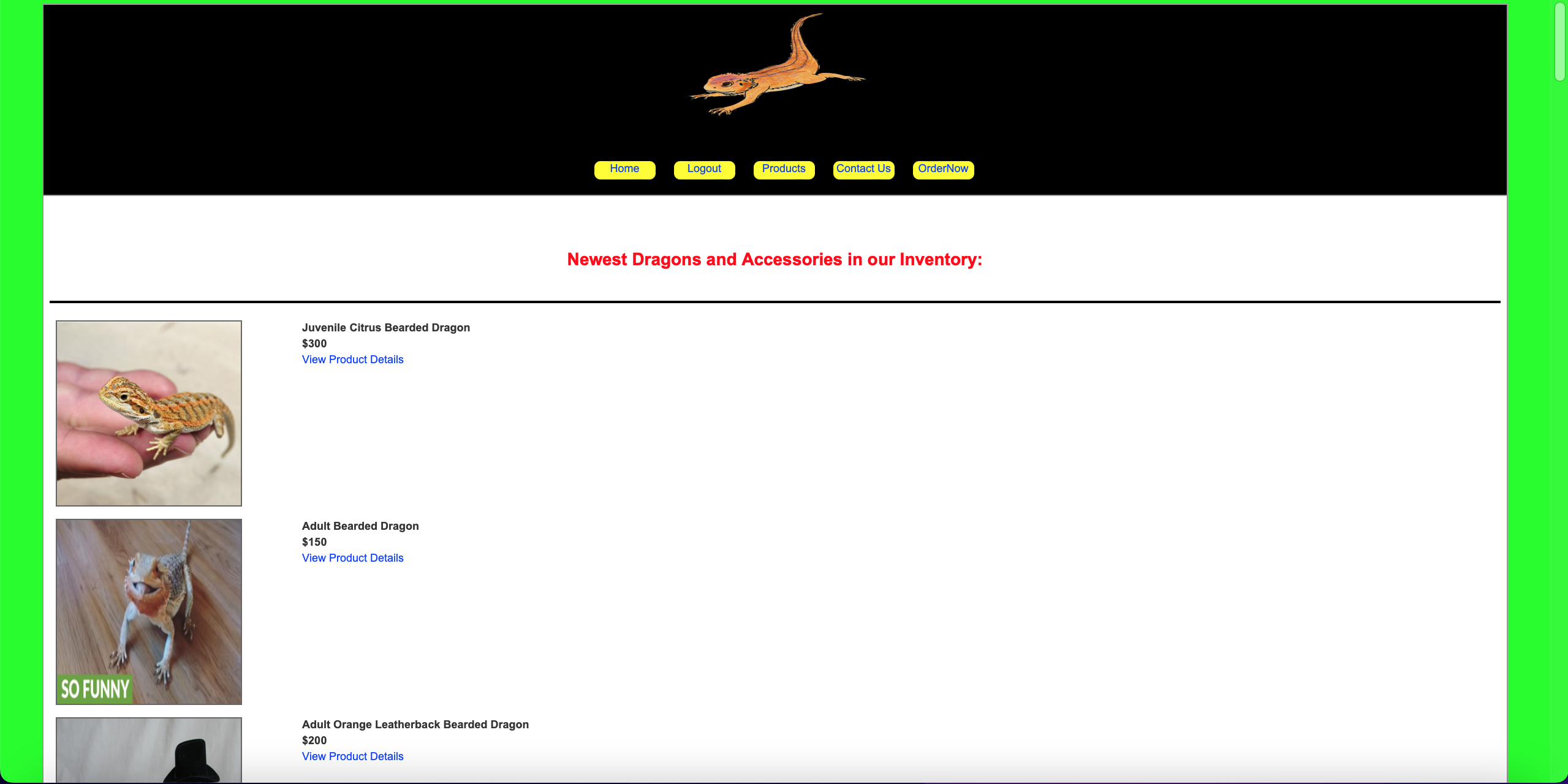 GitHub - ognimoddd/bearded-dragon-store: Bearded Dragon Store · E-commerce Application · PHP ...