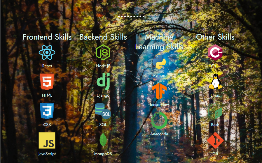 GitHub - AEsir777/personal-website