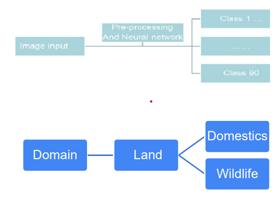 GitHub - TEJASsKoundinya/Animal-Identification-: Identification of 90 different animals with ...