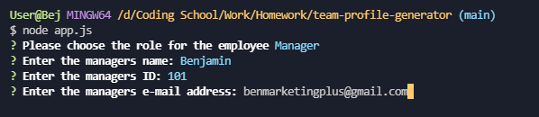 GitHub - MarketingPlus/team-profile-generator