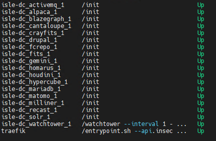 Does not work for " https://islandora.traefik.me/" · Issue #139 · Islandora-Devops/isle-dc · GitHub