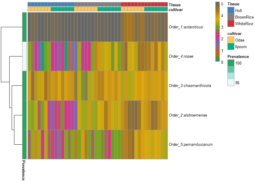 heatmap · Issue #166 · microsud/microbiomeutilities · GitHub