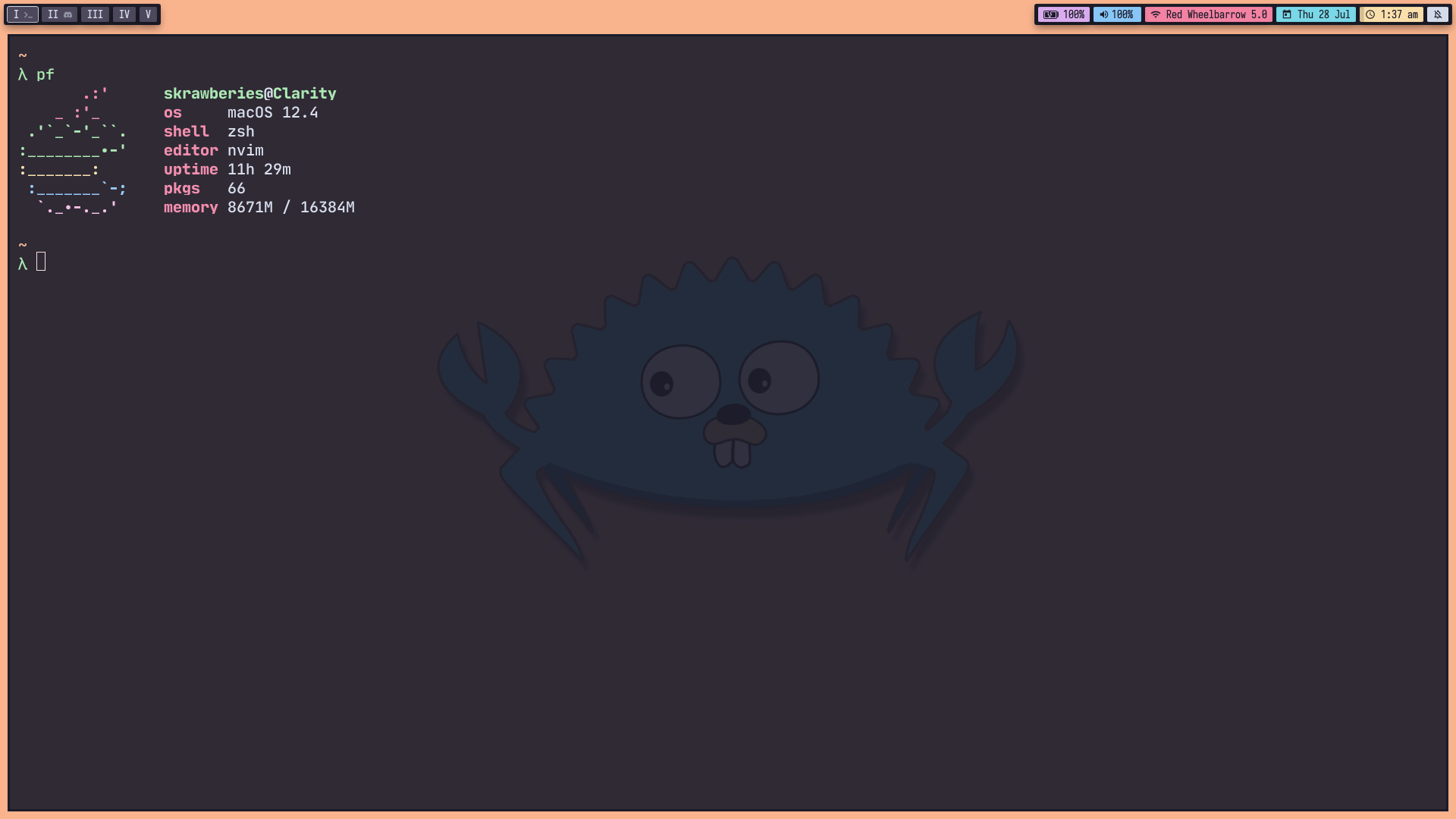 Split Bar Layout · FelixKratz SketchyBar · Discussion #221 · GitHub