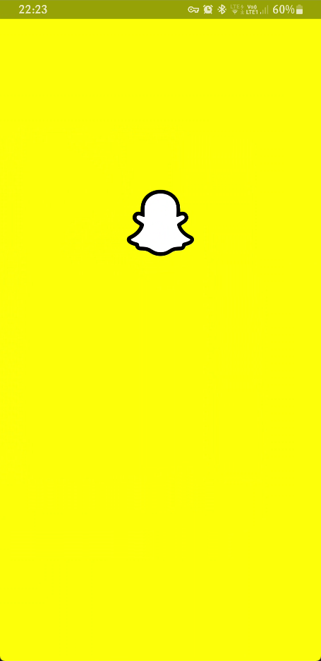 bug: Snapchat stuck on the logo after starting the app · Issue #132 · rhunk/SnapEnhance · GitHub