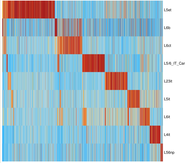 How to sort the specified cells on the Marker Peak Heatmaps · Issue #560 · GreenleafLab/ArchR ...