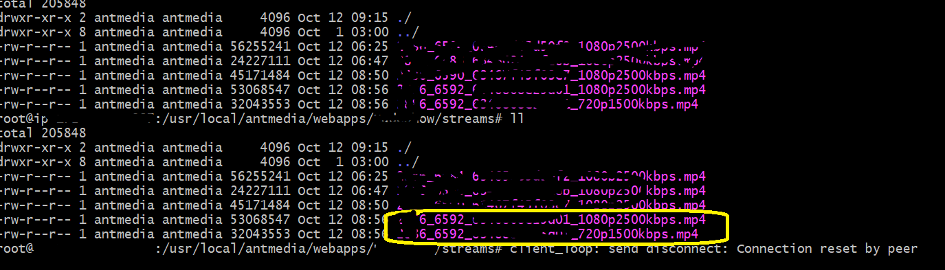 Some video files are not uploading to Digital Ocean SPACE after video streaming stops · Issue ...