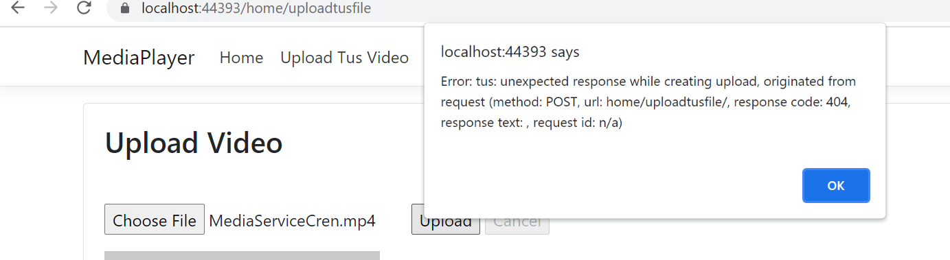 Url or Endpoint Issue · Issue #149 · tusdotnet/tusdotnet · GitHub