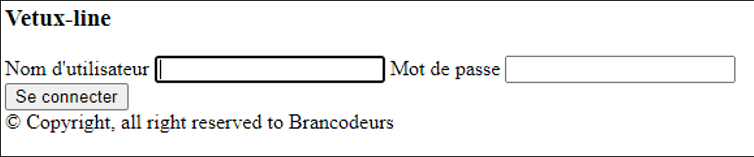 GitHub - zayden-dev/Vetux-Line: Project using the framework symfony during studies