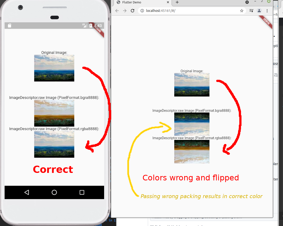 [web] ImageDescriptor.raw flips and inverts images (partial reason included) · Issue #89610 ...
