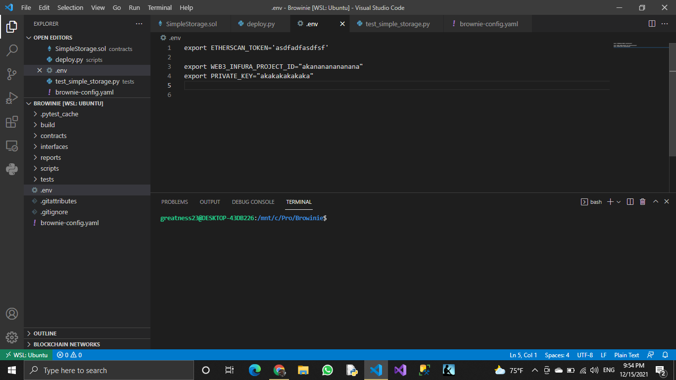 environment variables · Issue #4 · PatrickAlphaC/brownie_simple_storage · GitHub