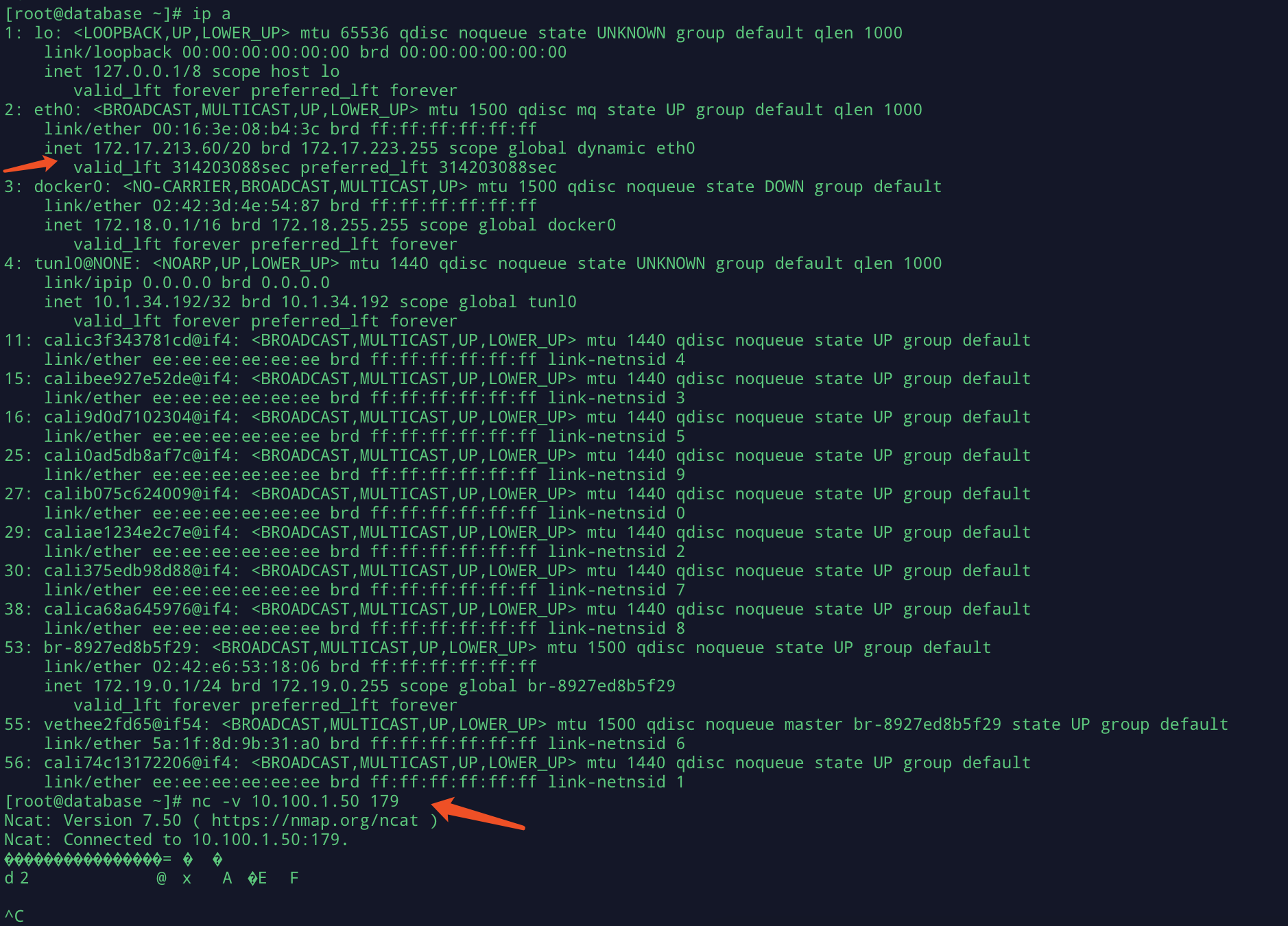 Custom routing for a Node · Issue #2714 · projectcalico/calico · GitHub