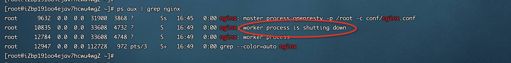 Worker Shutdown Timeout Not Work When Ngx Timer Task Running · Issue 770 · Openresty Openresty