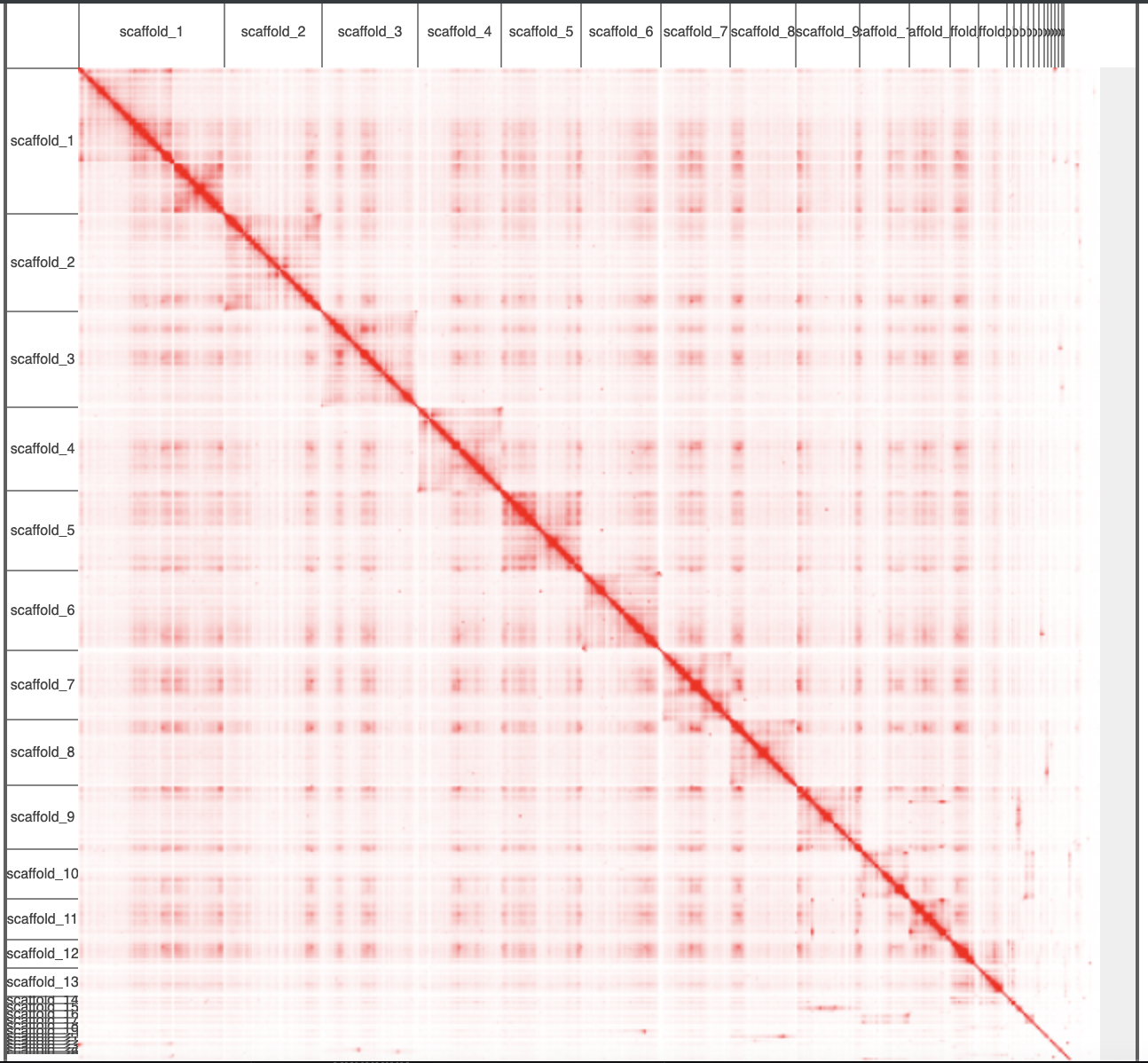 How you ever seen a hic heatmap like this one? · Issue #46 · c-zhou ...