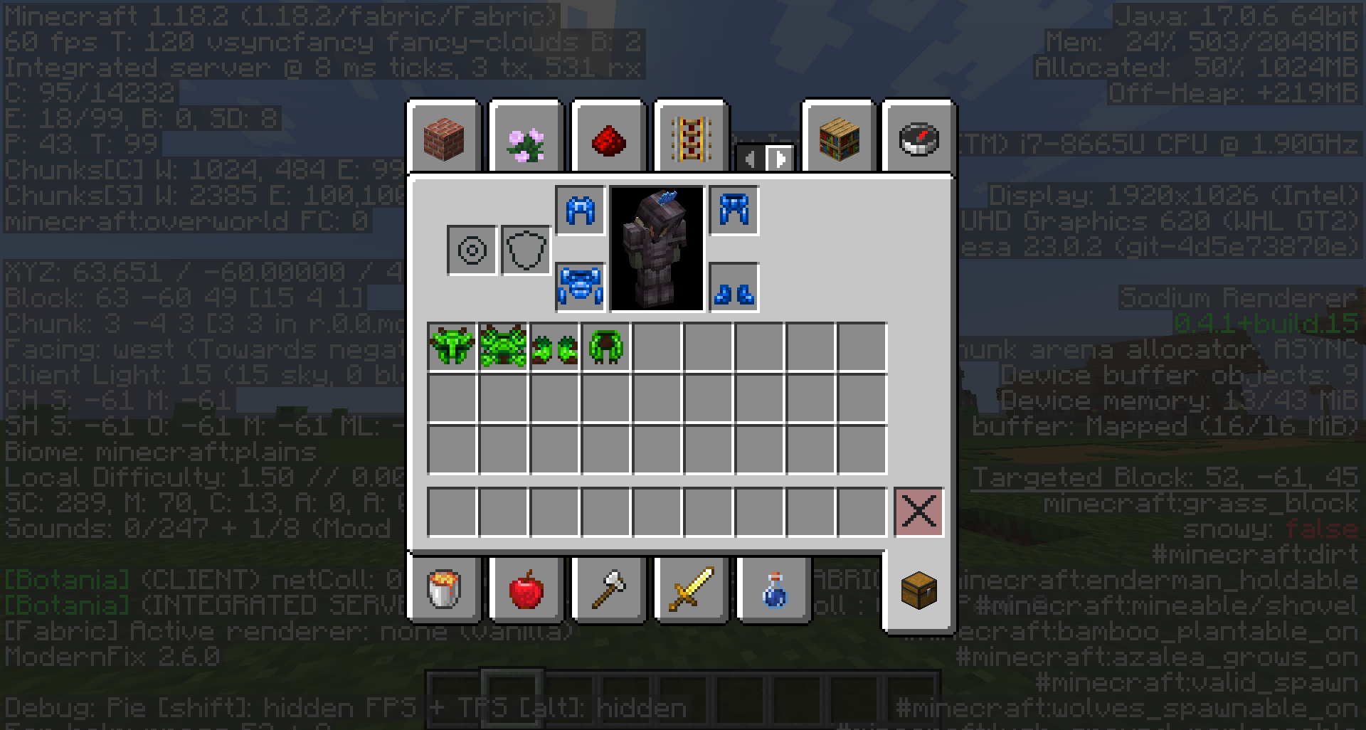 Wearing anything in cosmetic armor slots and Botania armor in actual ...