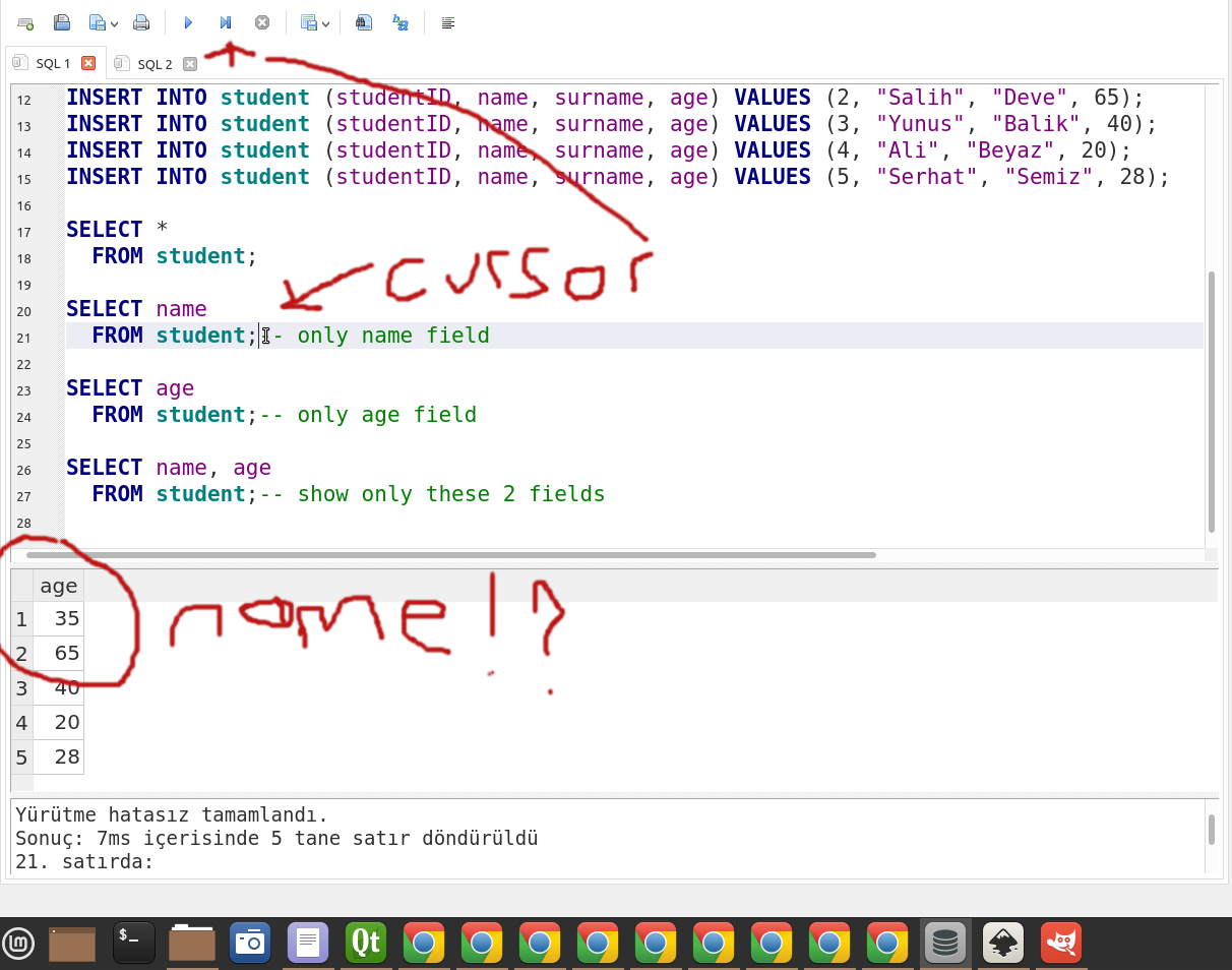 running the wrong line · Issue #2963 · sqlitebrowser/sqlitebrowser · GitHub