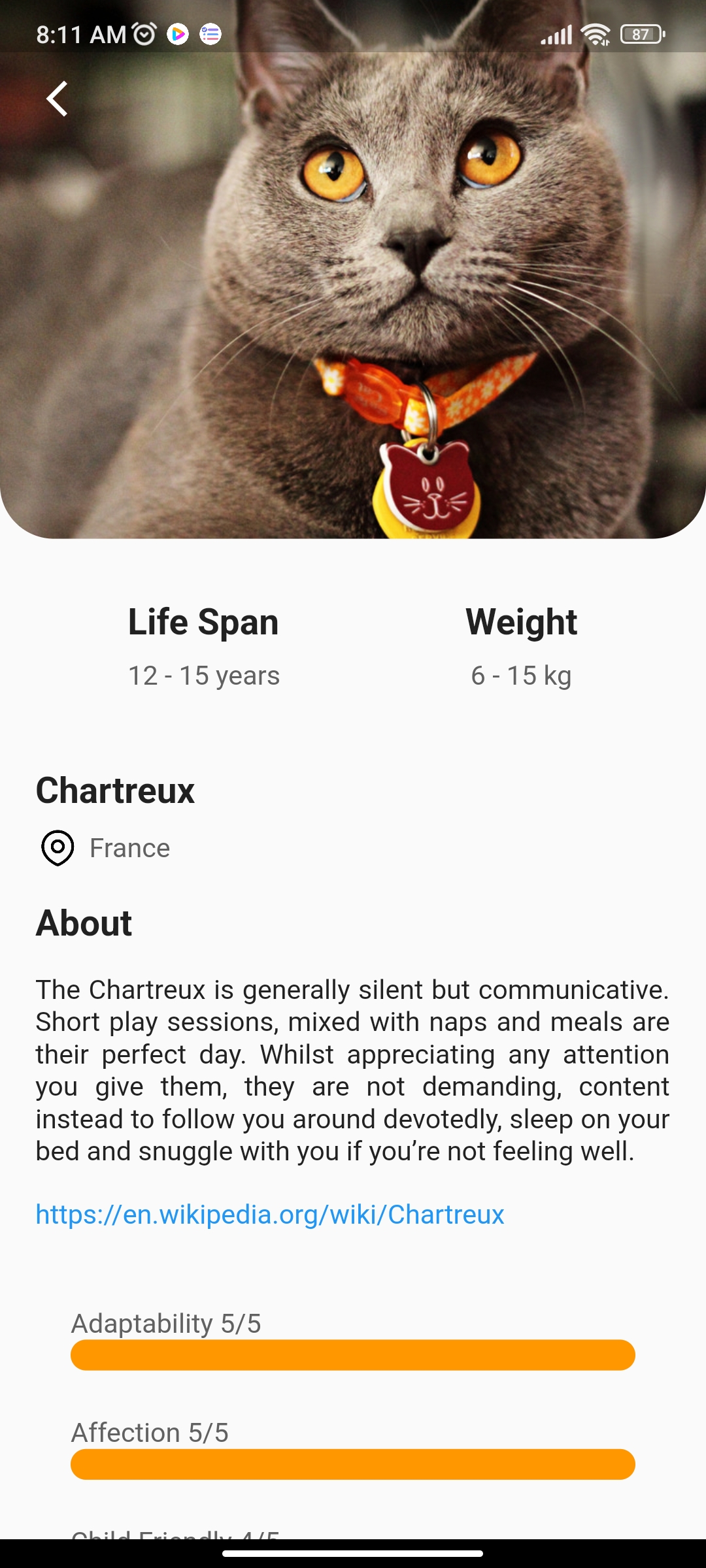 Github Estarly07 Cat Api