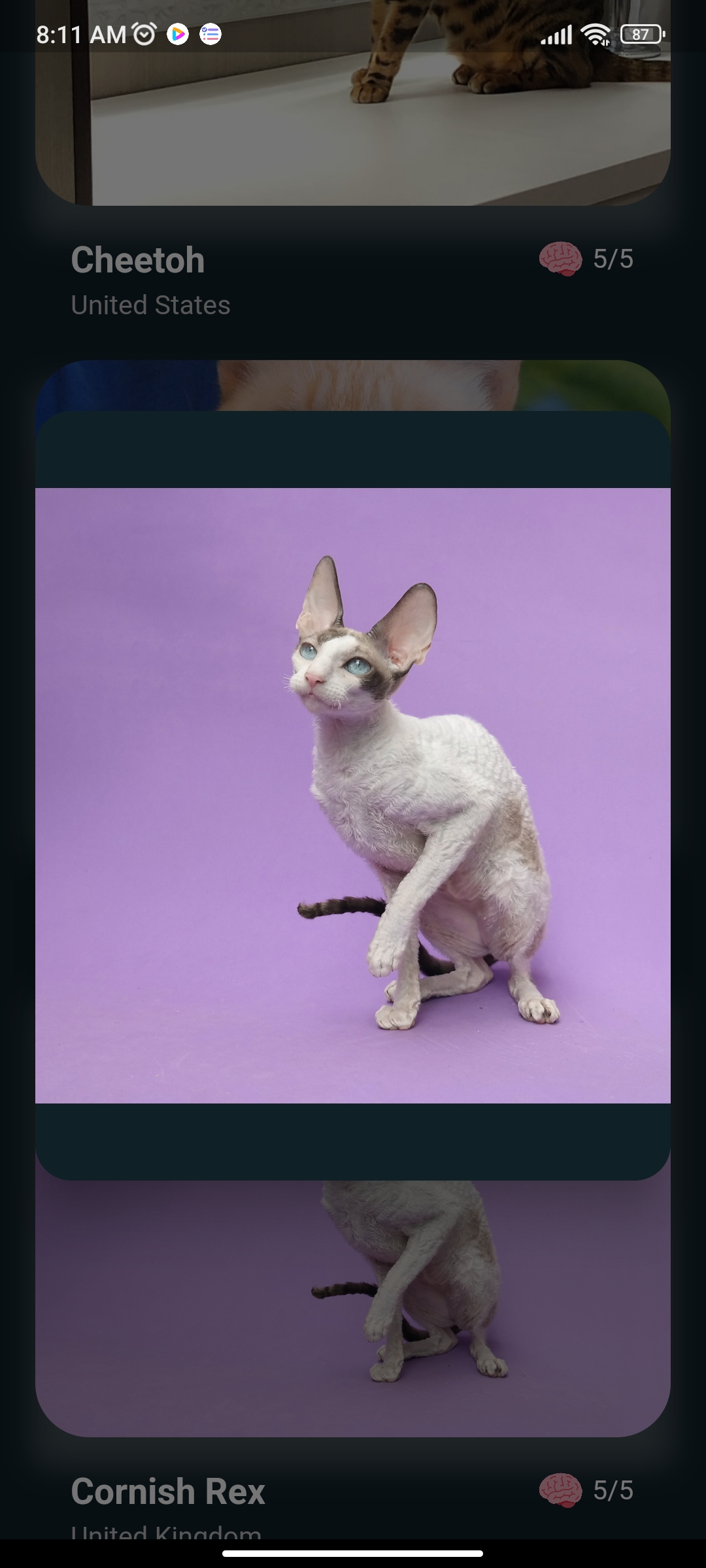 GitHub - estarly07/Cat-api