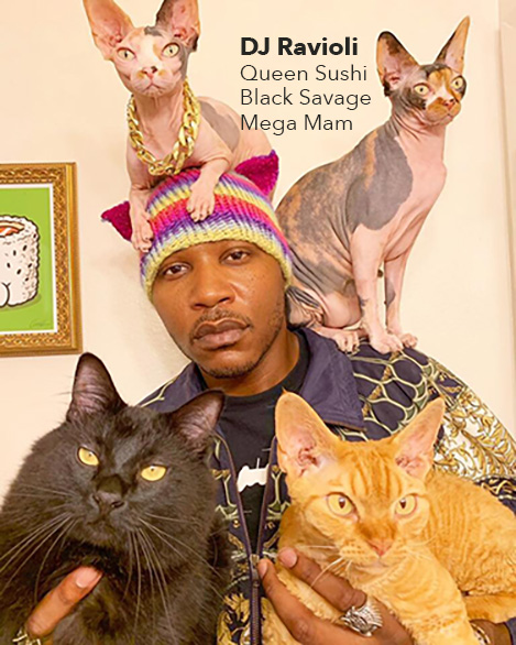 GitHub - mkociscak/Cat-Name-Generator_backEnd: This app can help you ...