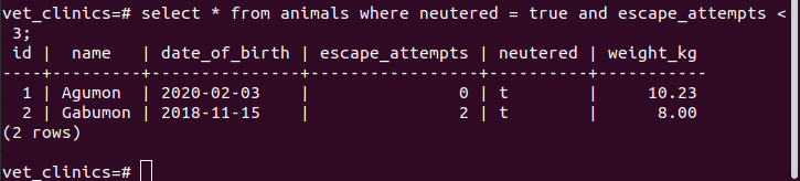 GitHub - karam084/vet_clinic_create_tables-animals: In this project, you will use a relational ...