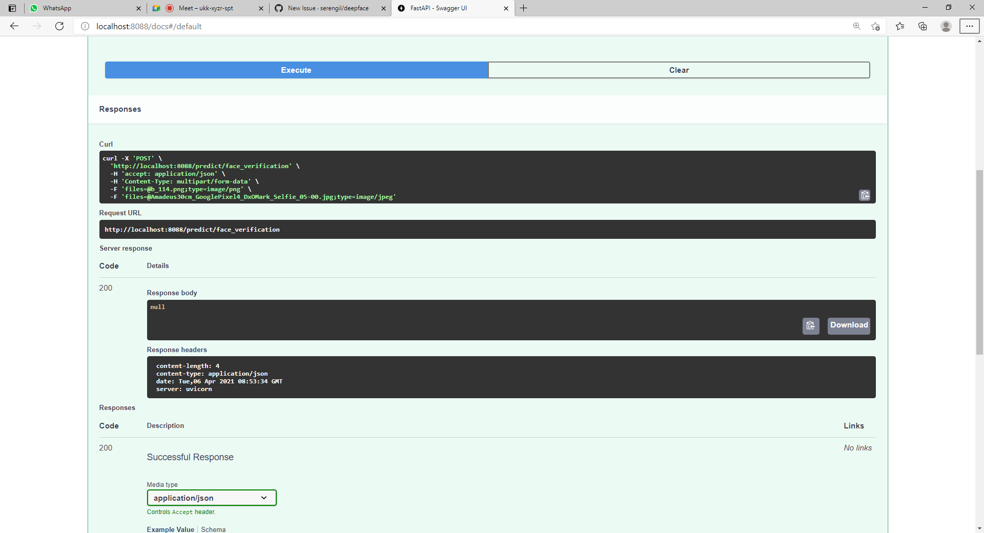 Implementing Deepface in FastAPI · Issue #212 · serengil/deepface · GitHub