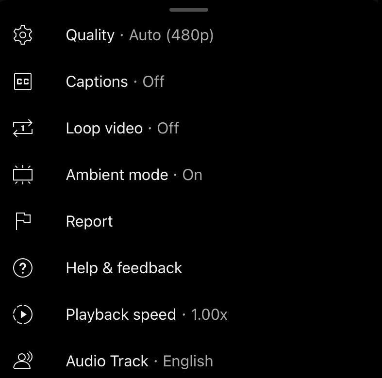 Fake YouTube Version doesn’t work correctly · Issue #80 · PoomSmart/YouPiP · GitHub
