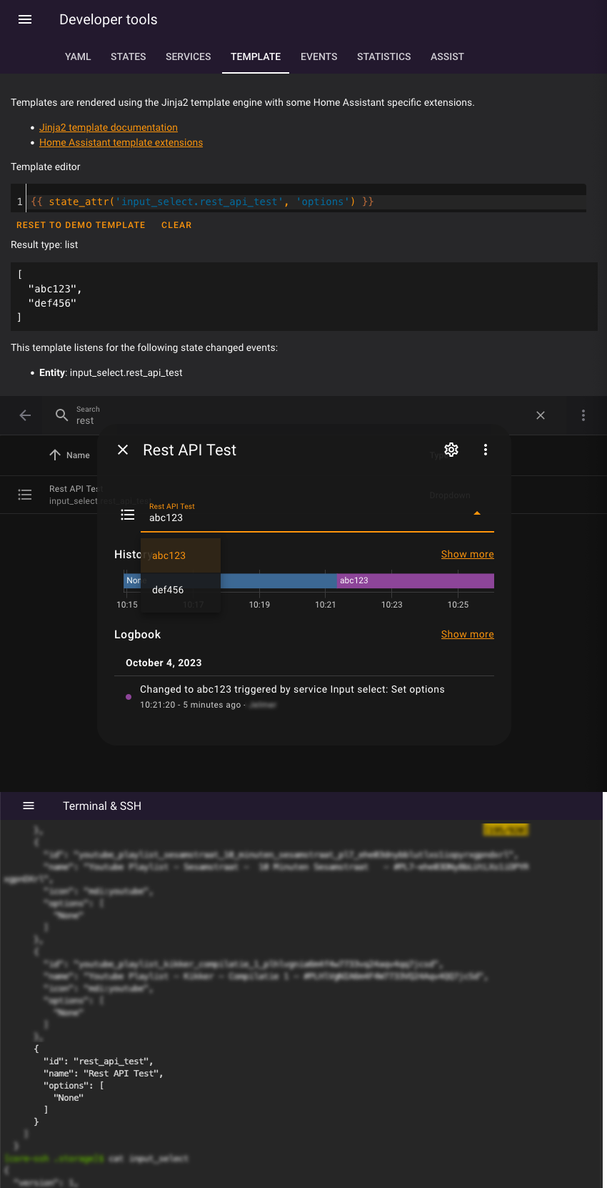 REST API not persistant · Issue #101376 · home-assistant/core · GitHub