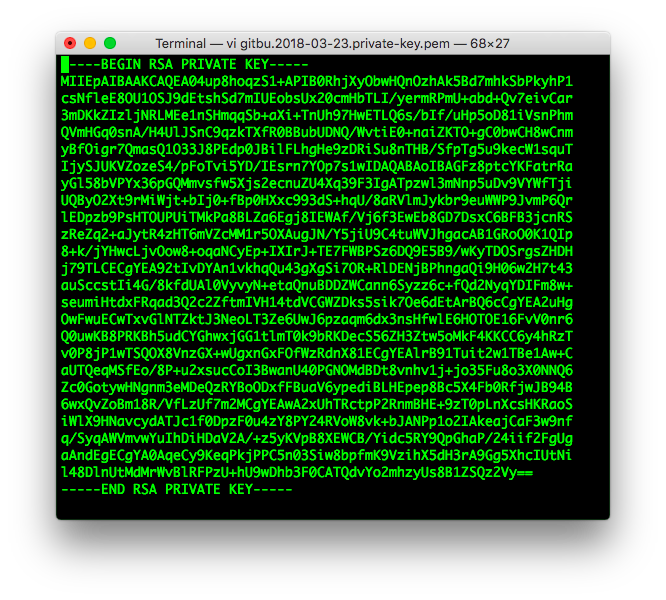 Allow multi-line environment variables · Issue #69 · Infisical/infisical · GitHub