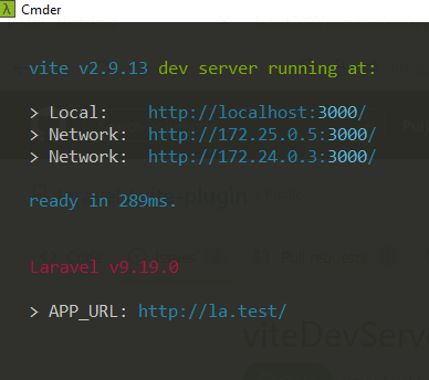 viteDevServerUrl evaluated to http://[::]:3000 · Issue #46 · laravel/vite-plugin · GitHub