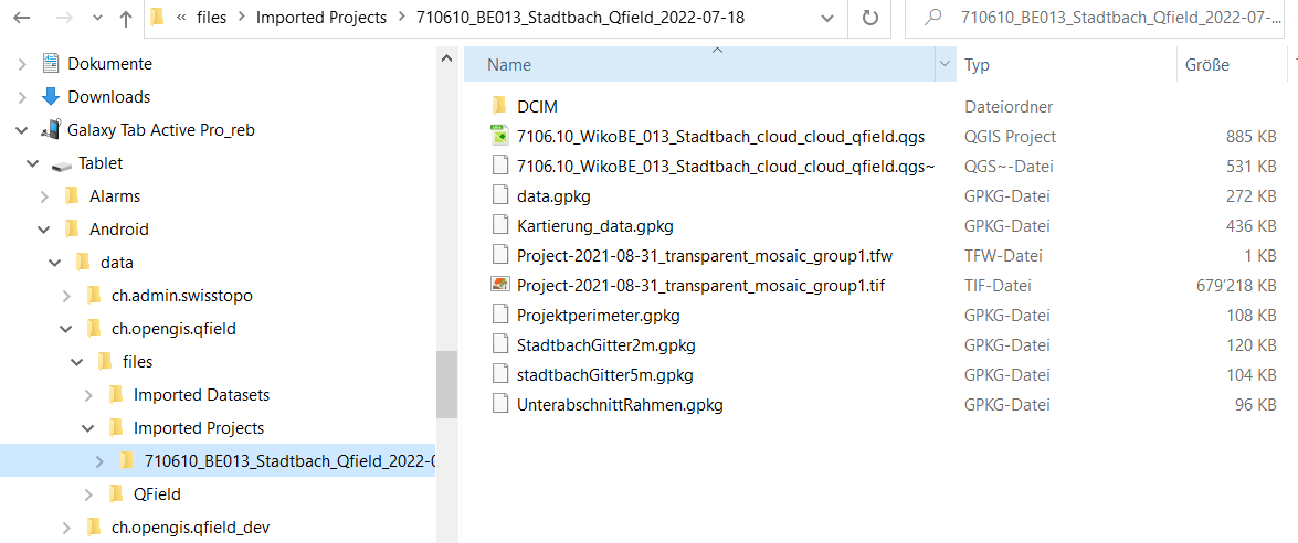 Import Local project: missing Project-File · Issue #444 · opengisch/qfieldsync · GitHub