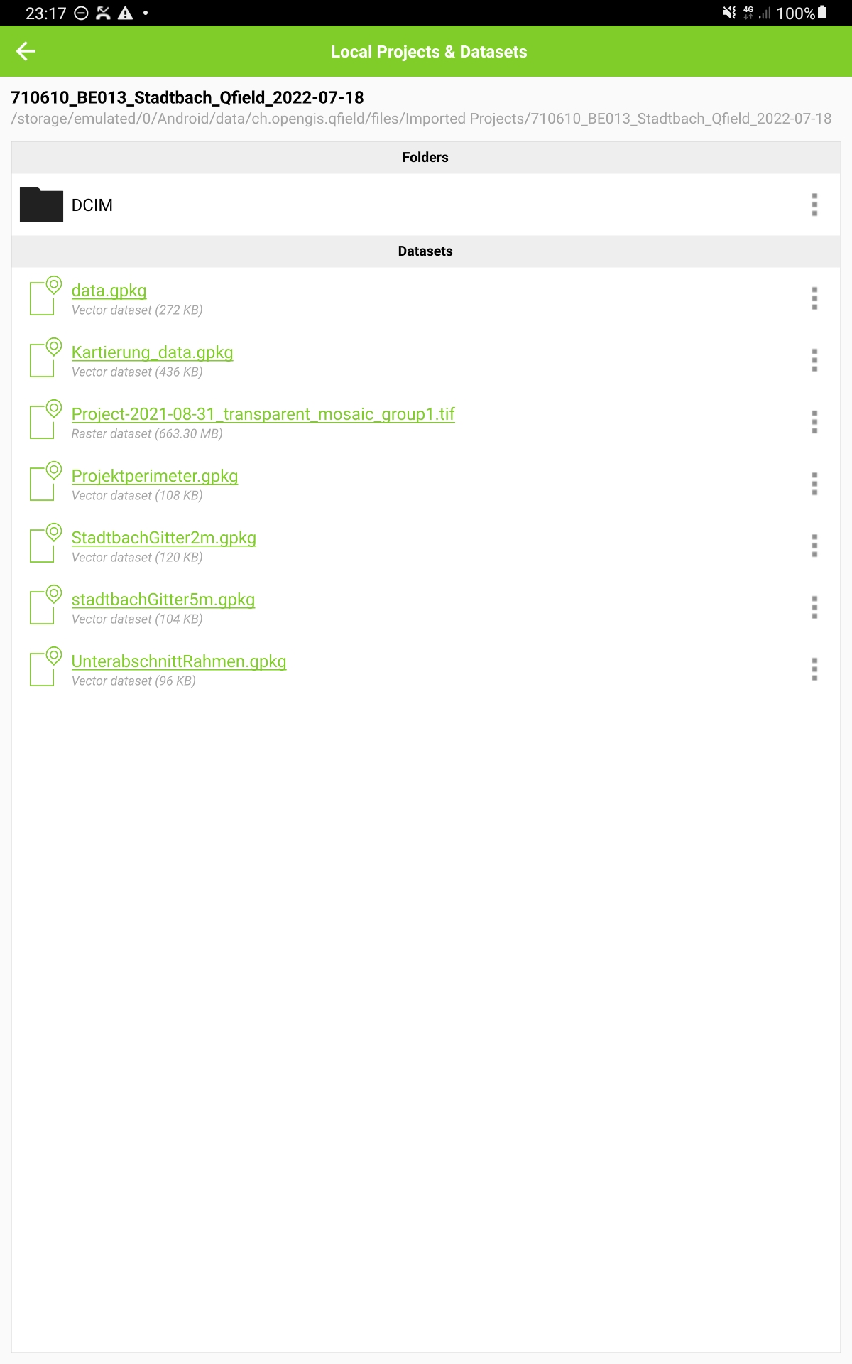Import Local project: missing Project-File · Issue #444 · opengisch/qfieldsync · GitHub