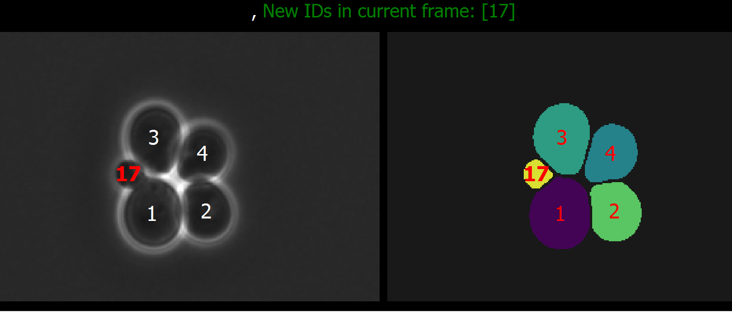 Segmentation ids get lost usually on last frame during retracking · Issue #135 · SchmollerLab ...