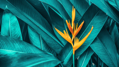 GitHub - Alphx-rgb/2D-to-3D-Text-Converter: A basic script for ...