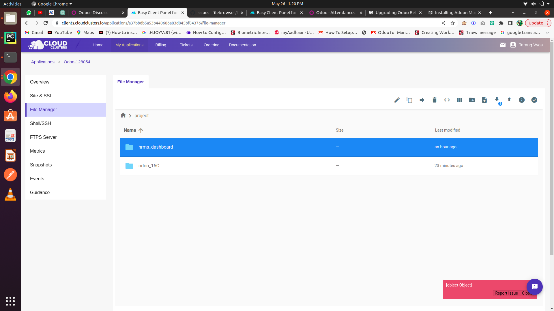 Costume Models Not Delete · Issue 2475 · Filebrowser Filebrowser · Github