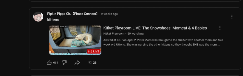 [Bug] `Missing hash key: "lengthText" (KeyError)` when loading community tab · Issue #3731 · iv ...