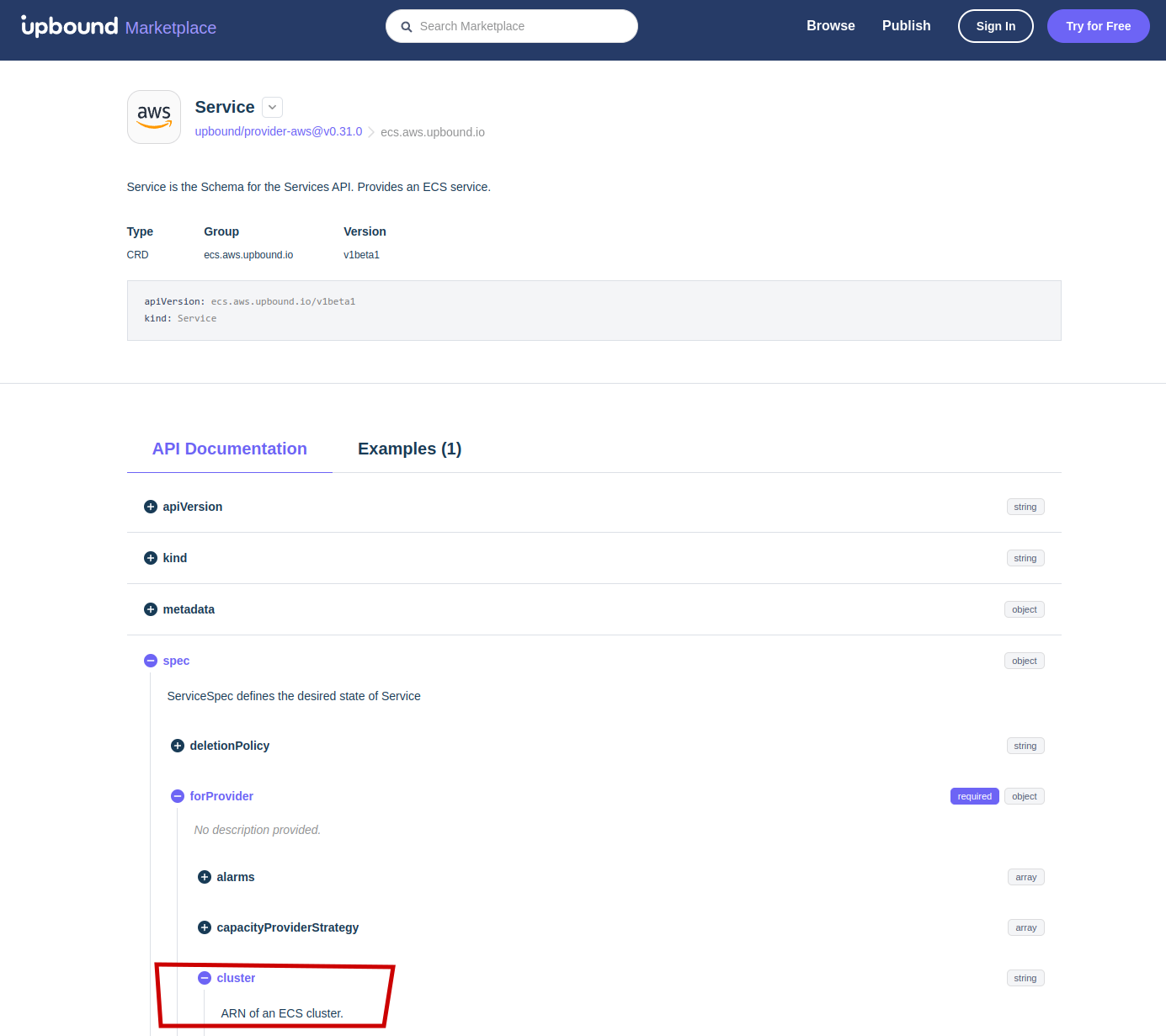 GitHub - martinflemingdev/upbound-ECS-service-cluster-field-bug